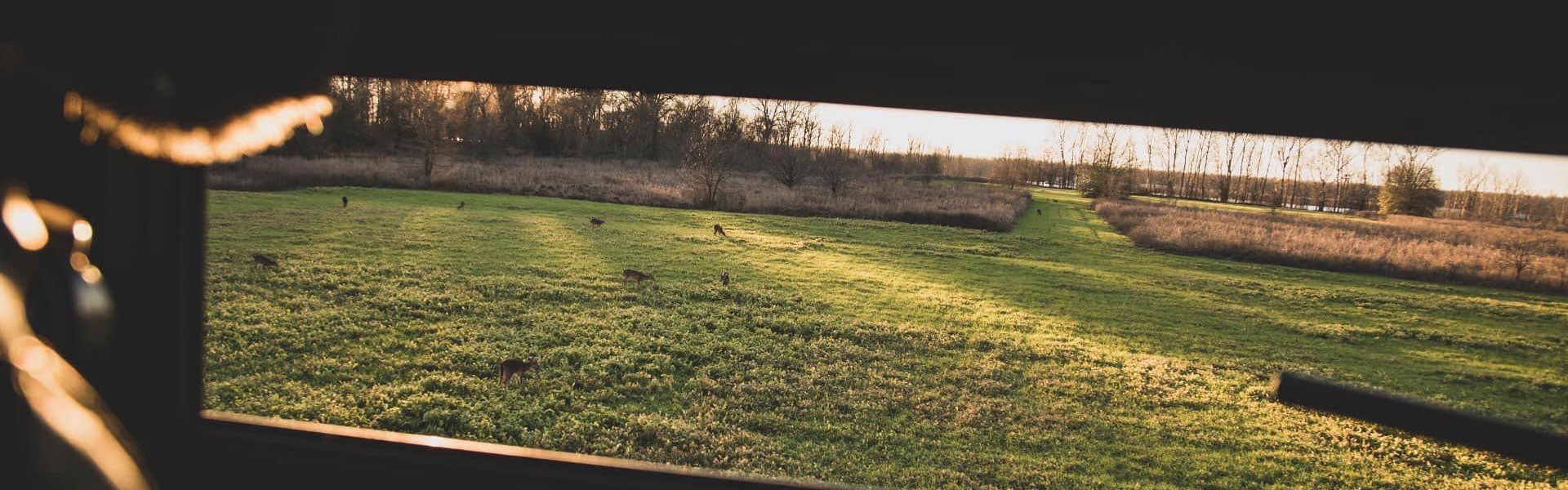 Backwoods Wildlife Products – Backwoods Premium Wildlife Products