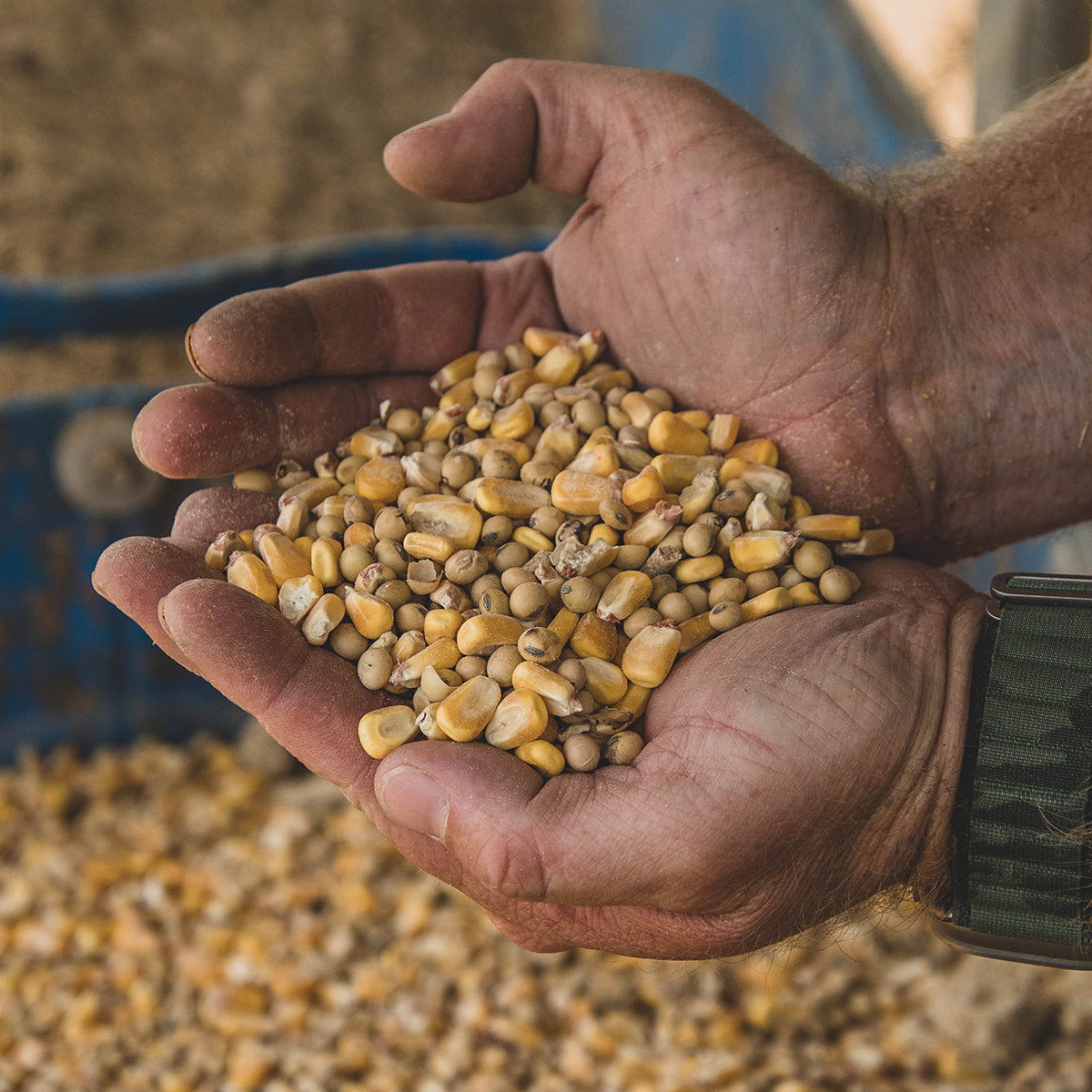 FLAMEKISSED™ 16% CORN/SOYBEAN BLEND – Backwoods Premium Wildlife Products®