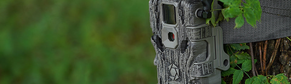 Backwoods Accessories – Backwoods Premium Wildlife Products®