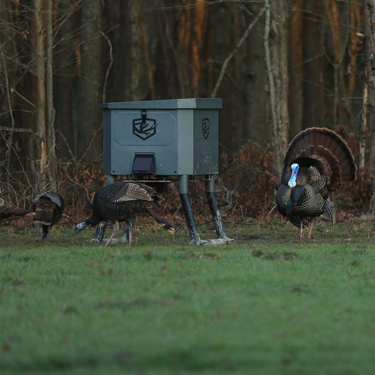 THUNDER CHICKEN™ – Backwoods Premium Wildlife Products®